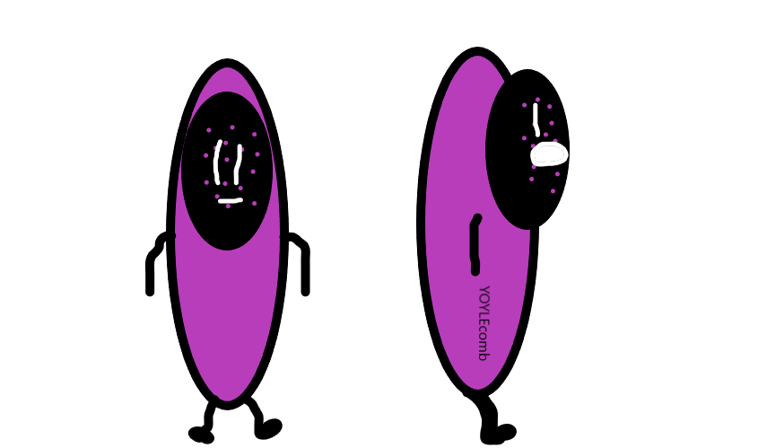 Comb | Object Shows Community | Fandom
