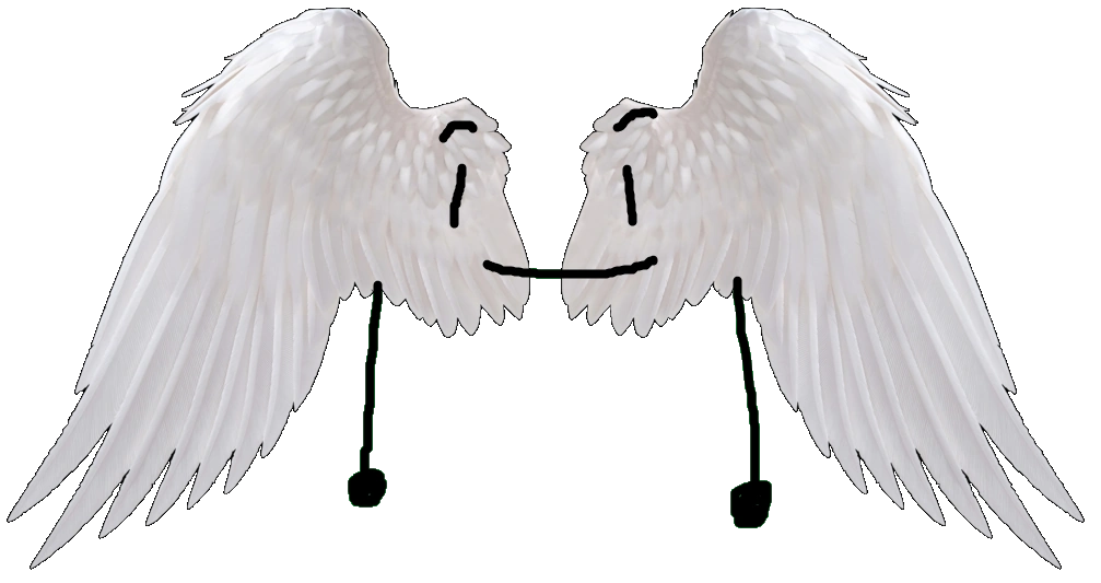 Wings (Boku) | Object Shows Community | Fandom