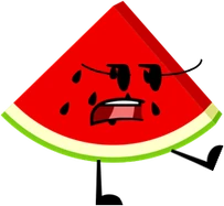 Watermelon | Object Shows Community | Fandom