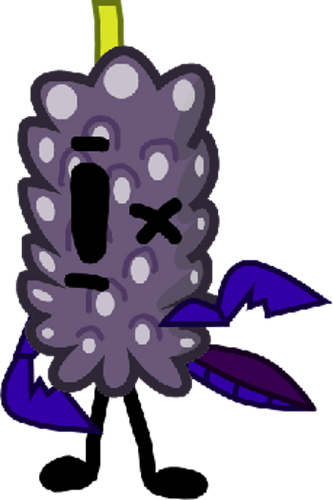 Mulberry Object Shows Community Fandom