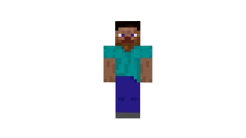Minecraft Steve | Battle For Mii Wiki | Fandom