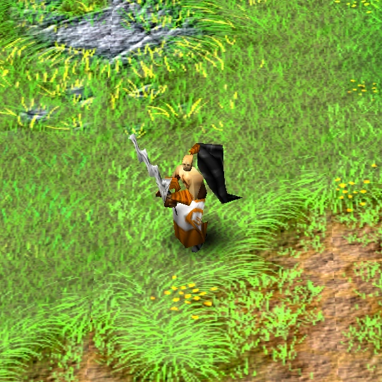 Dragon Warrior | Wiki Battle Realms Tiếng Việt | Fandom