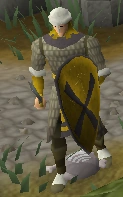 Varrock Guard | BattleScape Wiki | Fandom