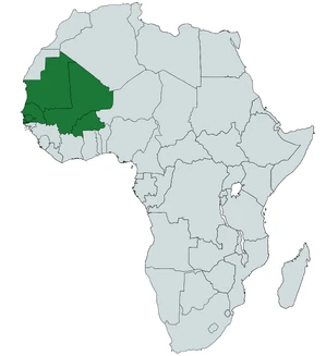 Sugondese Republic | Battleship Craft Roleplay Wiki | Fandom