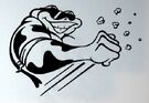 Rash | Battletoads Wiki | Fandom