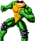 Rash | Battletoads Wiki | Fandom