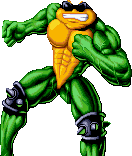 Rash | Wiki Battletoads | Fandom
