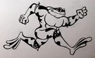 Rash | Battletoads Wiki | Fandom