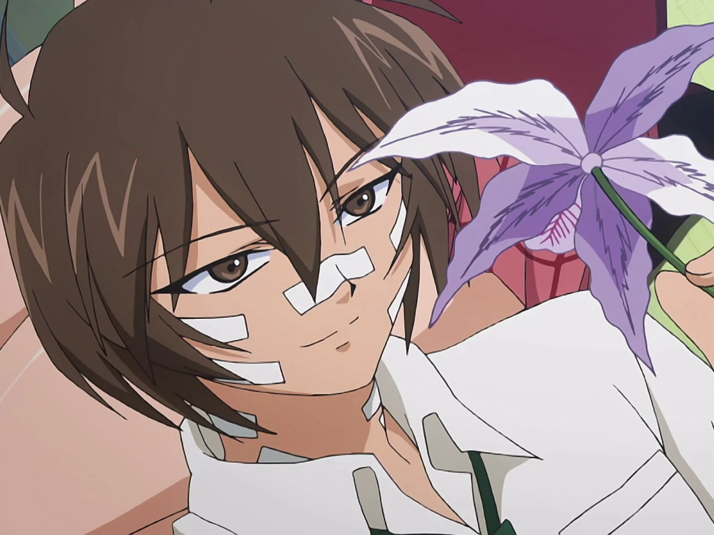 Chuuei Toutaku | Ikkitousen Wiki | Fandom