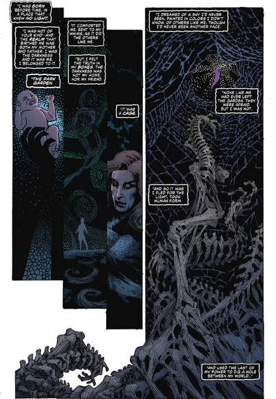 The Overvoid (DC Comics) | Baydırman Tiers Wiki | Fandom