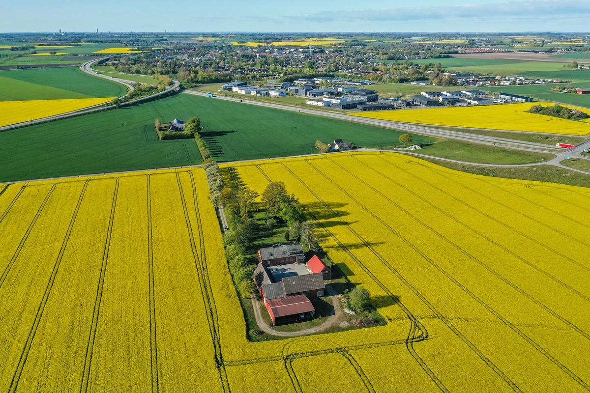 Burrafirth | Bayland Wiki | Fandom