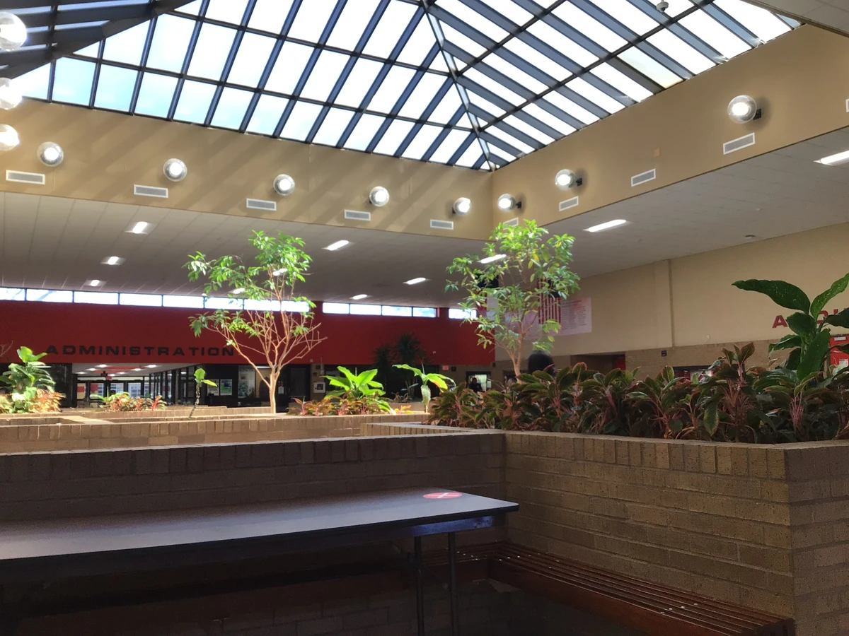 The Commons | Baytown Junior Wiki | Fandom