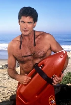 David Hasselhoff Baywatch Fandom