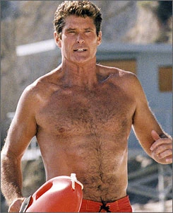 Mitch Buchannon | Baywatch Wiki | Fandom