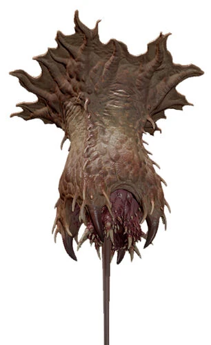 Barnacle | B.B Inc. Wikia | Fandom