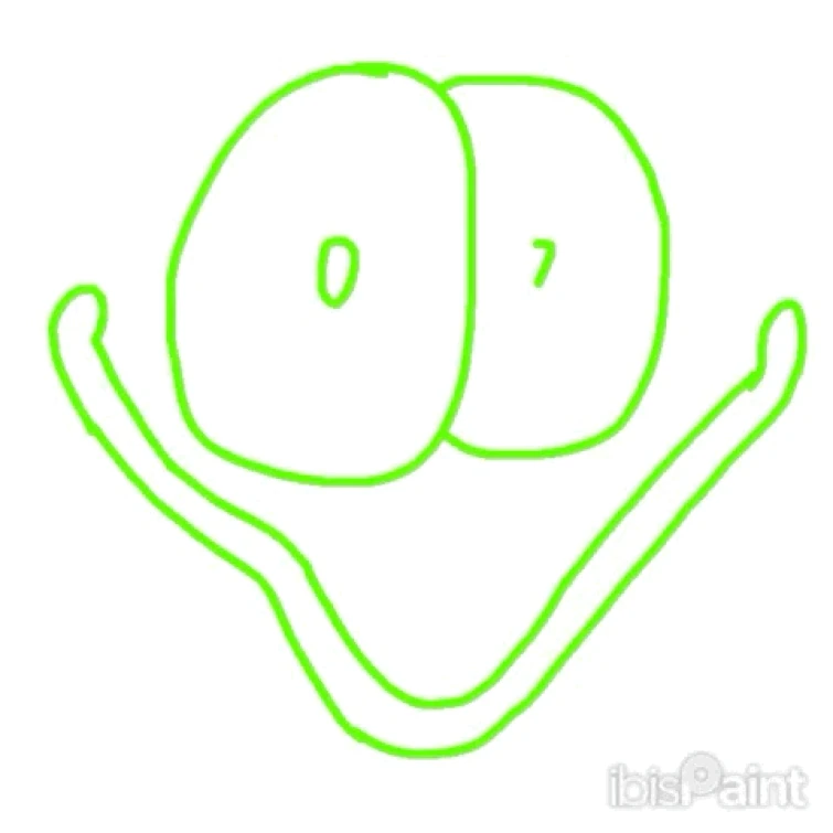 Drawing A-35 until it turns into an incomprehensible shape | Fandom