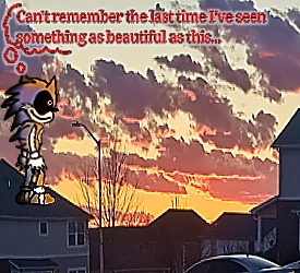 lord x watching the sunset | Fandom