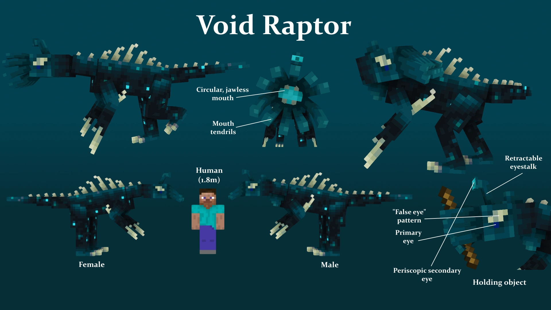 Void Raptor | Fandom