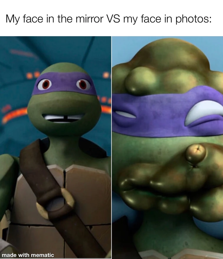 TMNT Memes | Fandom
