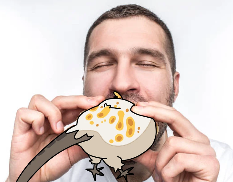 Why I love the wiki | Fandom