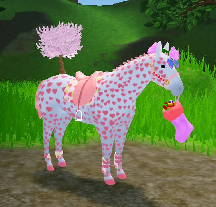 Rate my new tack sets out of 10! | Fandom