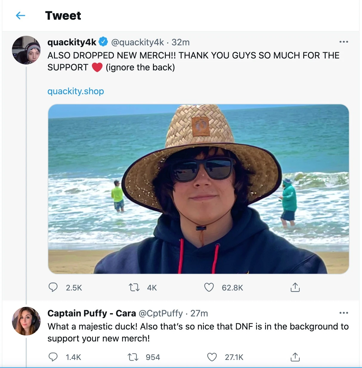 I think it's safe to say that Puffy is officially a Dunf | Fandom