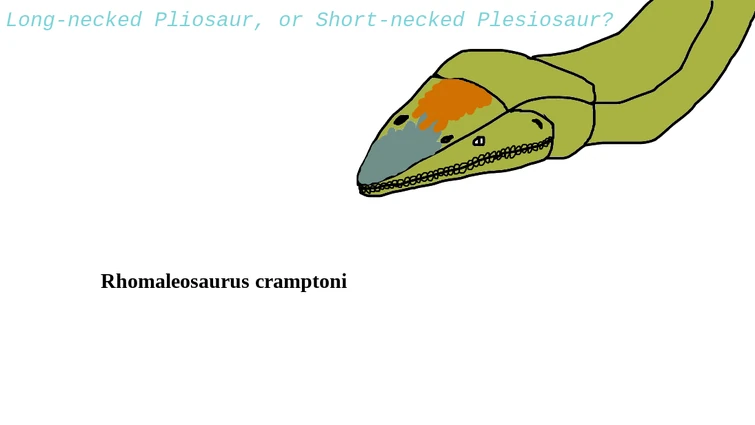 Discuss Everything About Dinopedia | Fandom