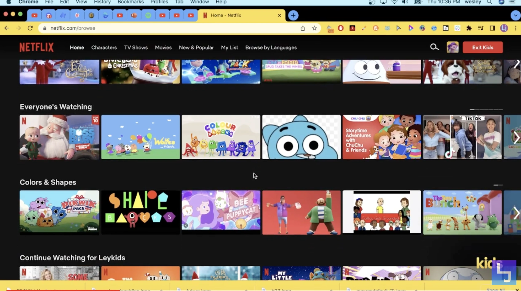 (fake) Colourblocks and Shapeblocks on Netflix | Fandom