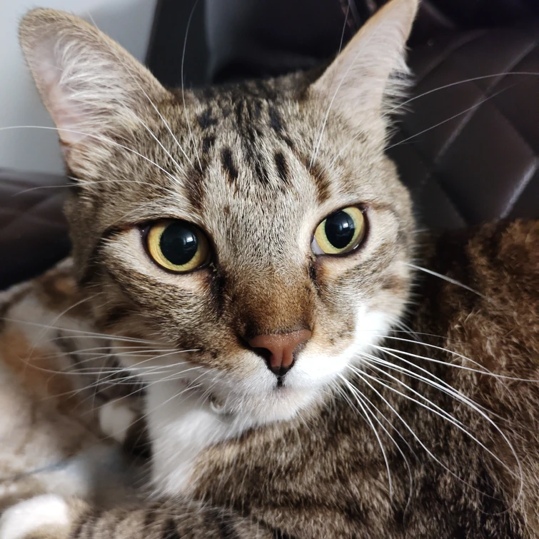 For people who are people pleasers and hate it: | Fandom