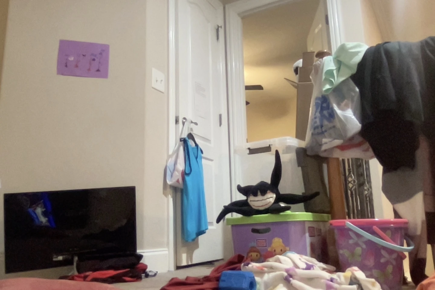 Just a Picture of Screech | Fandom