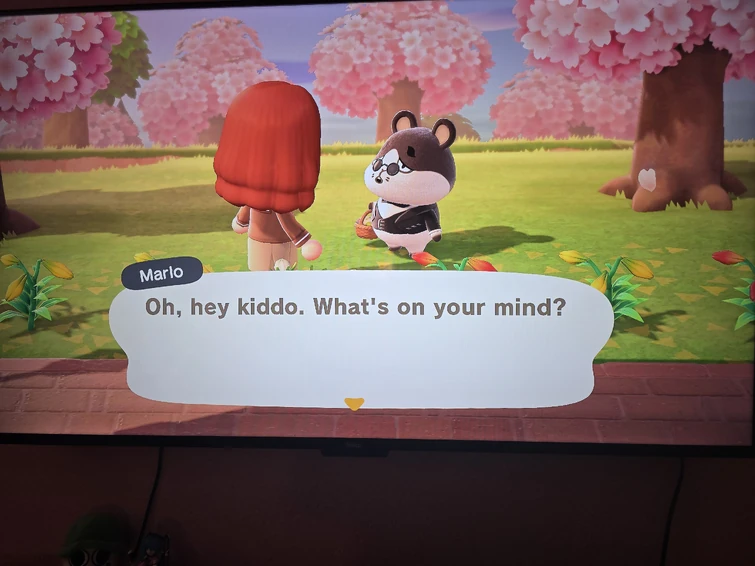 Discuss Everything About Animal Crossing Wiki | Fandom