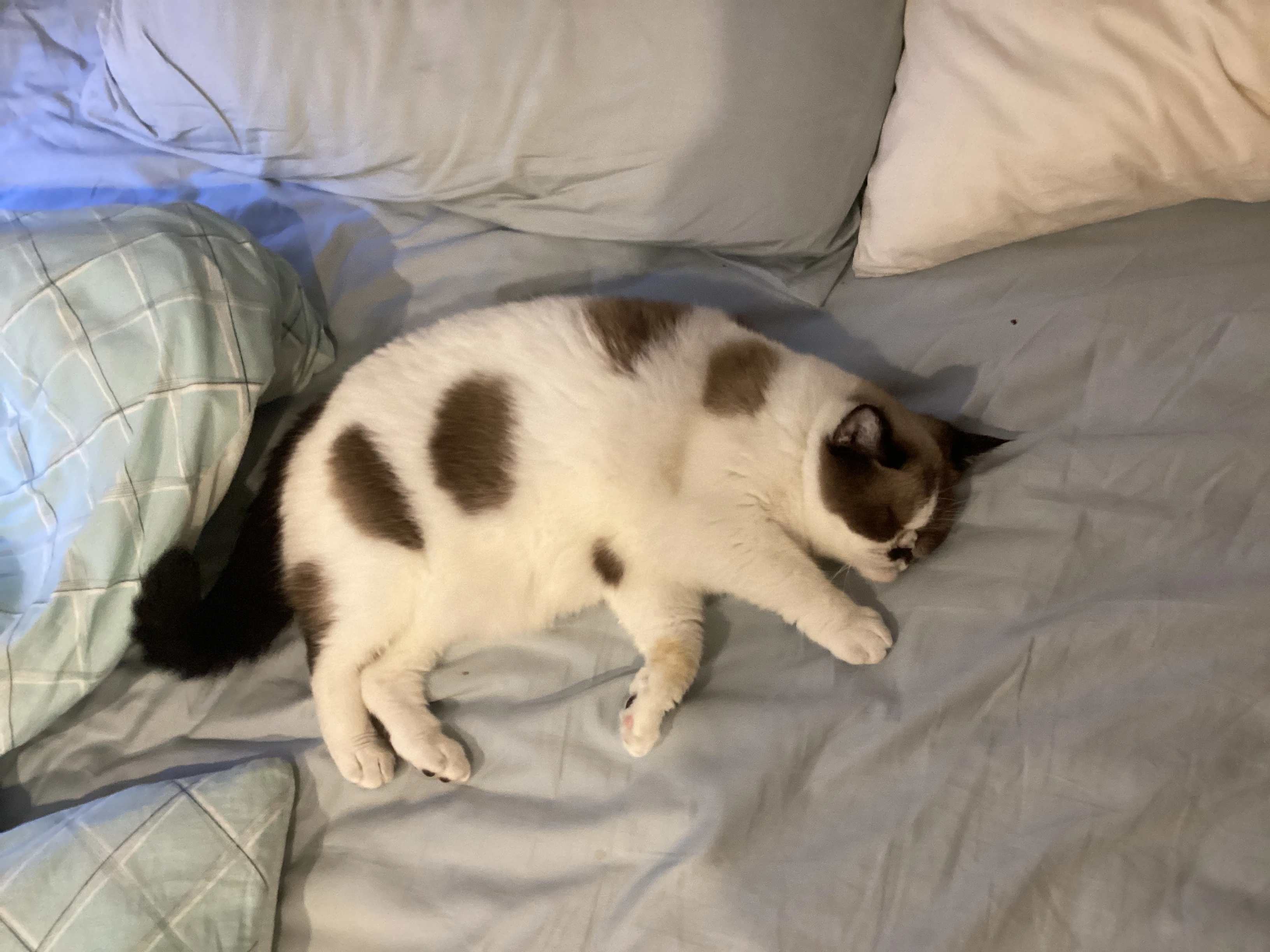 And why she eepy 😂 | Fandom