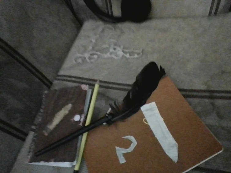 EEEEEEEEEE JOURNALS!!! | Fandom