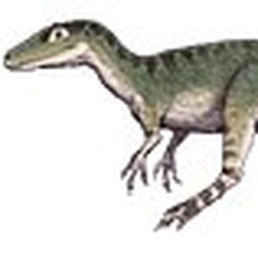 Discuss Everything About Dinopedia | Fandom