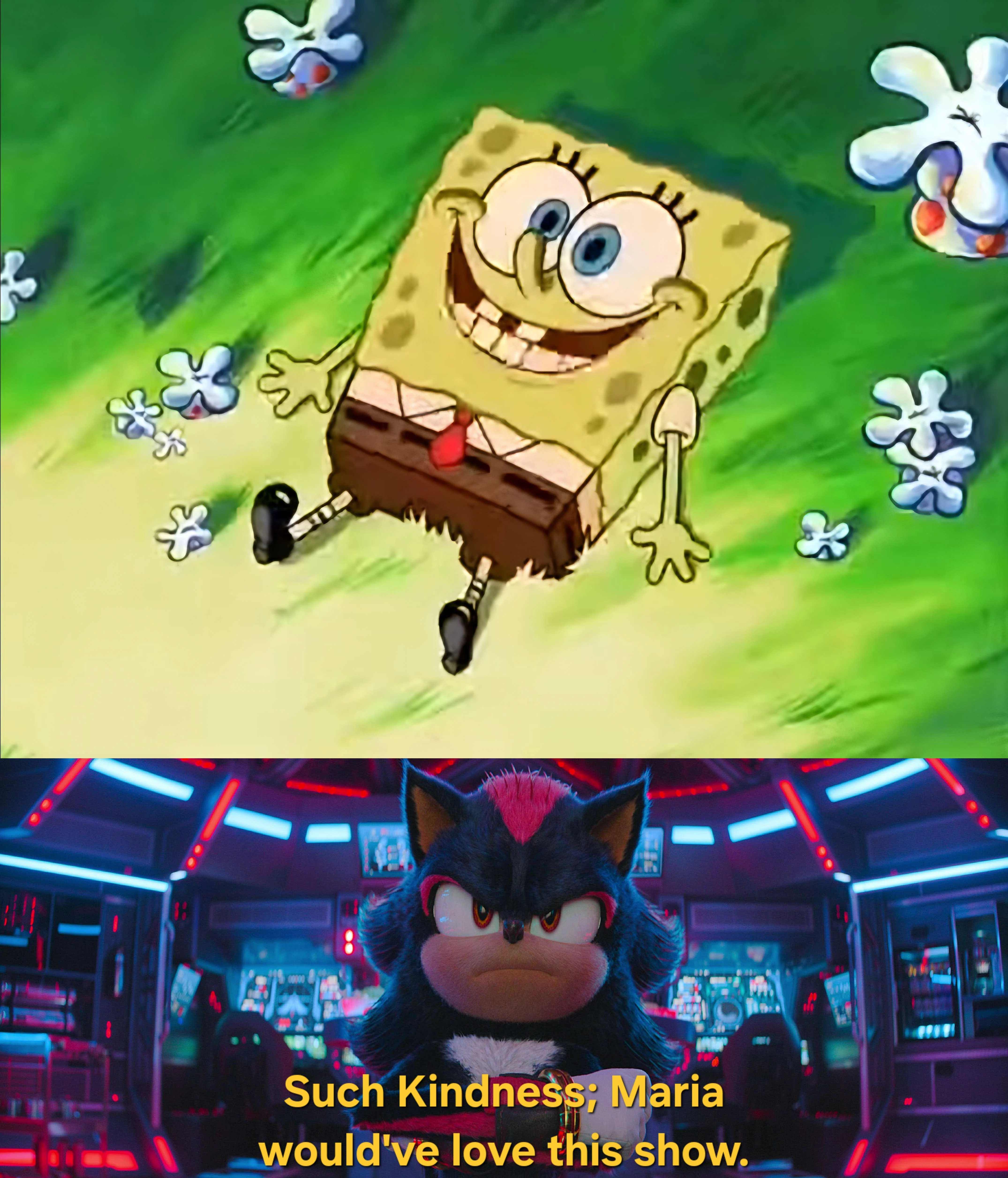 Shadow is a Spongebob fan but hates Squidward. | Fandom