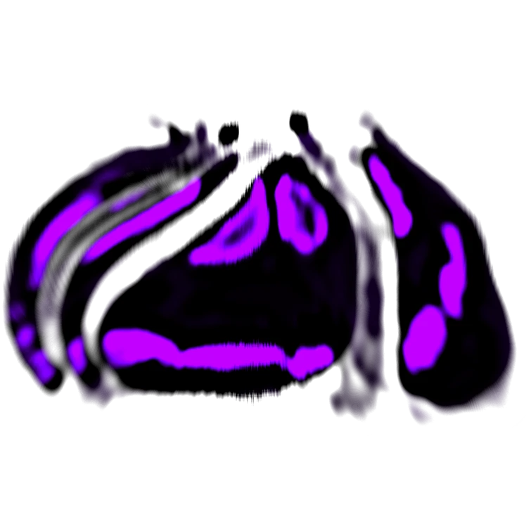 Some entities I made for fun | Fandom