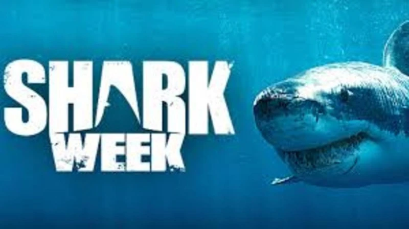 HAPPY SHARK WEEK EVERYONE!🦈🦈🦈 | Fandom