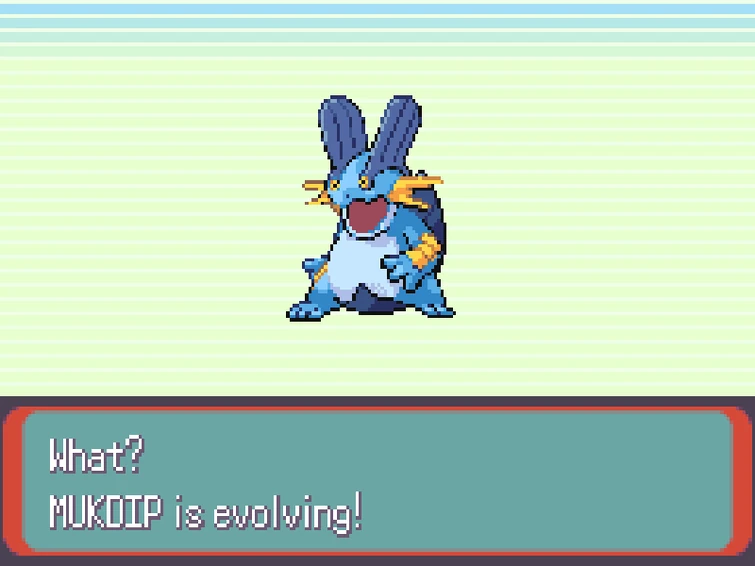 Mudkip evolved | Fandom