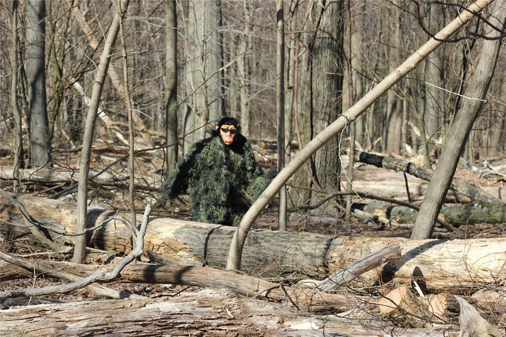 Look what I saw online | Fandom