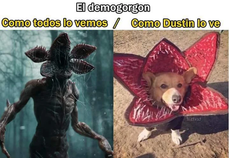 Dustin... | Fandom