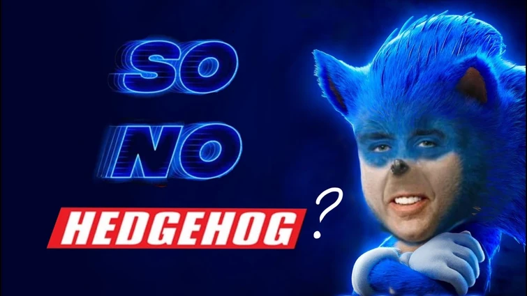 for all YTP fans, introducing... so no hedgehog?!(warning: may contain ...