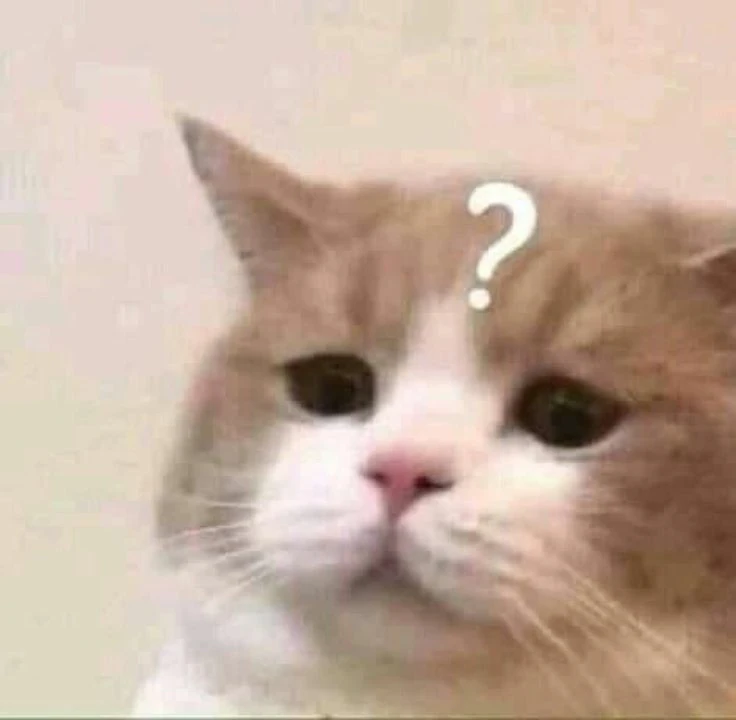 Guys I’m confuzzled | Fandom