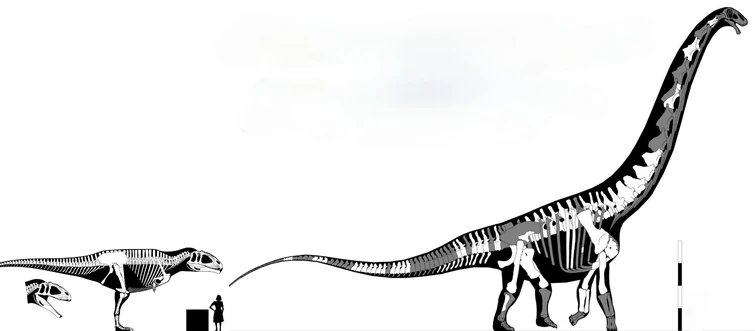 A little fun size comparison I made. Two titans that coexisted ...