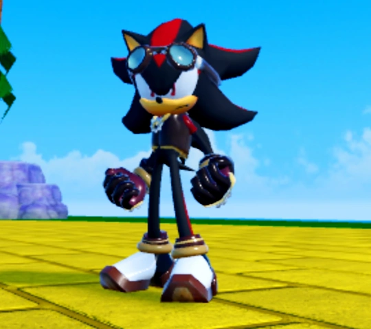 I got clockwork shadow the hedgehog in sonic RP heroes DX! | Fandom