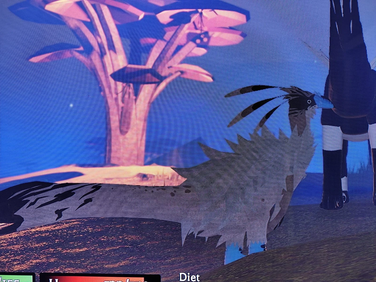 Cute Zygies | Fandom