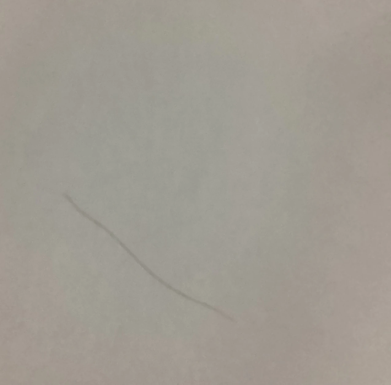 HOW TO DRAW - MY 4 PREDICTION | Fandom