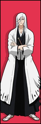 Ukitake | Bleach Blade Battlers 2nd Note Wiki | Fandom