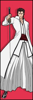 Aizen | Bleach Blade Battlers 2nd Note Wiki | Fandom