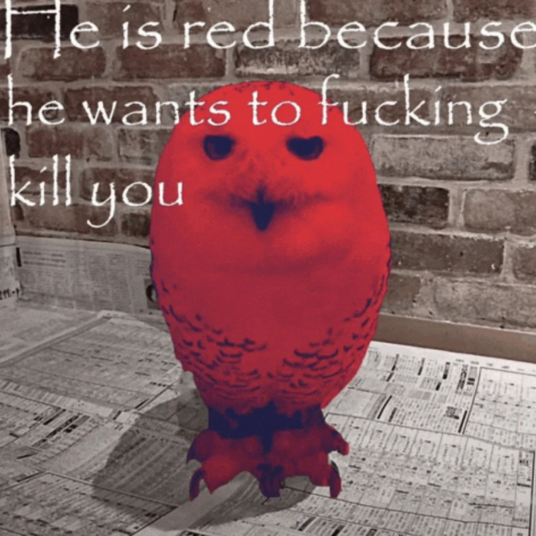 Yeti vs Leopard | Fandom