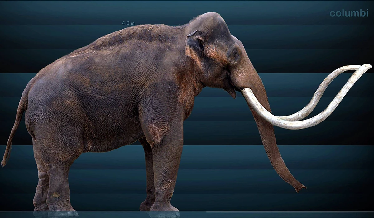Columbian Mammoth | BBC Animals Wiki | Fandom